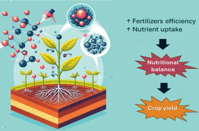 Potential of Nanoparticulate Fertilizers in Mitigating Environmental ...