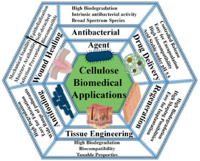Bacterial Cellulose/BC/Rubber Nanocomposites | SpringerLink