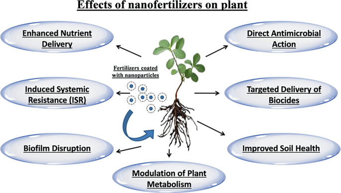 Harnessing Nanofertilizers Potential for Effective Plant Disease ...