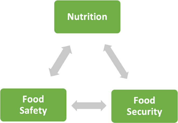 Service Design for ThaiHealth Food Program: Exploring Participatory ...