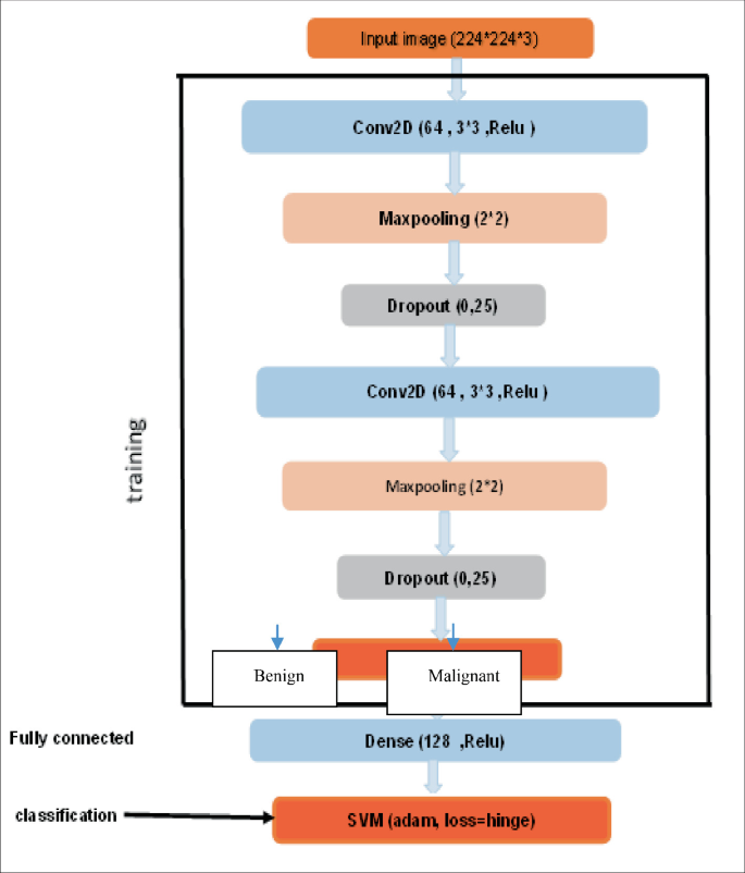 Skin Cancer Detection and Classification Using CNN and SVM | SpringerLink