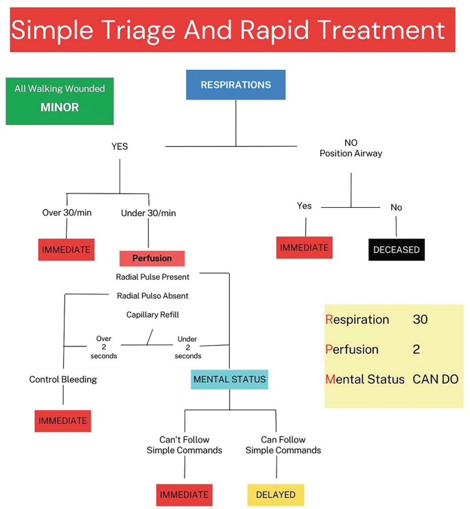 Multiple Victimes Trauma | SpringerLink