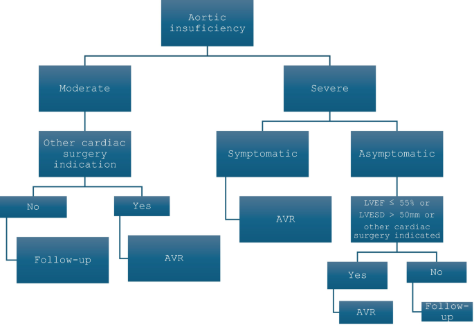 Valvular Heart Disease | Springer Nature Link (formerly SpringerLink)