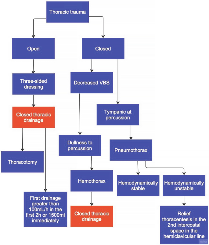 Chest Tube Placement | SpringerLink