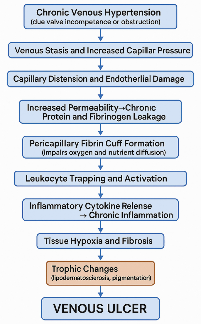 Lower Limb Ulcers | Springer Nature Link