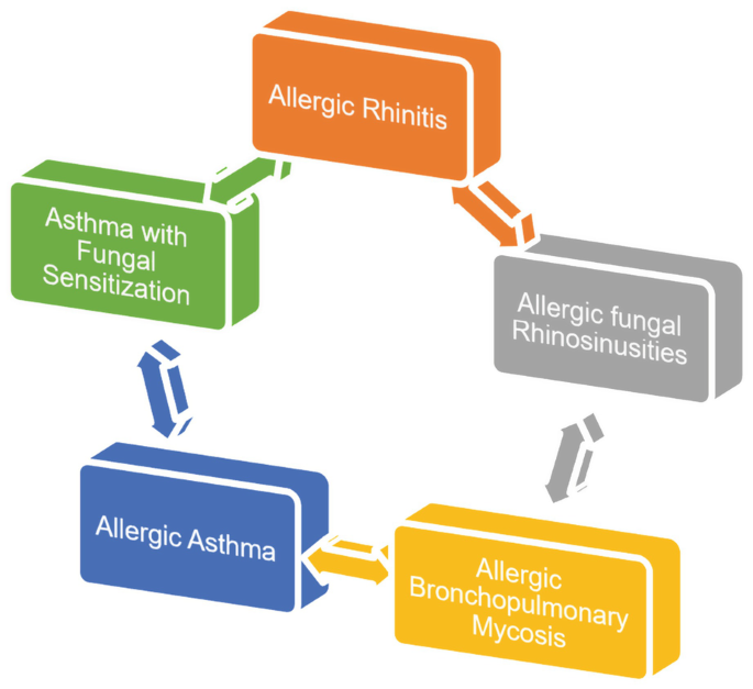 Allergies and Sensitivities Associated with Edible Mushroom | SpringerLink