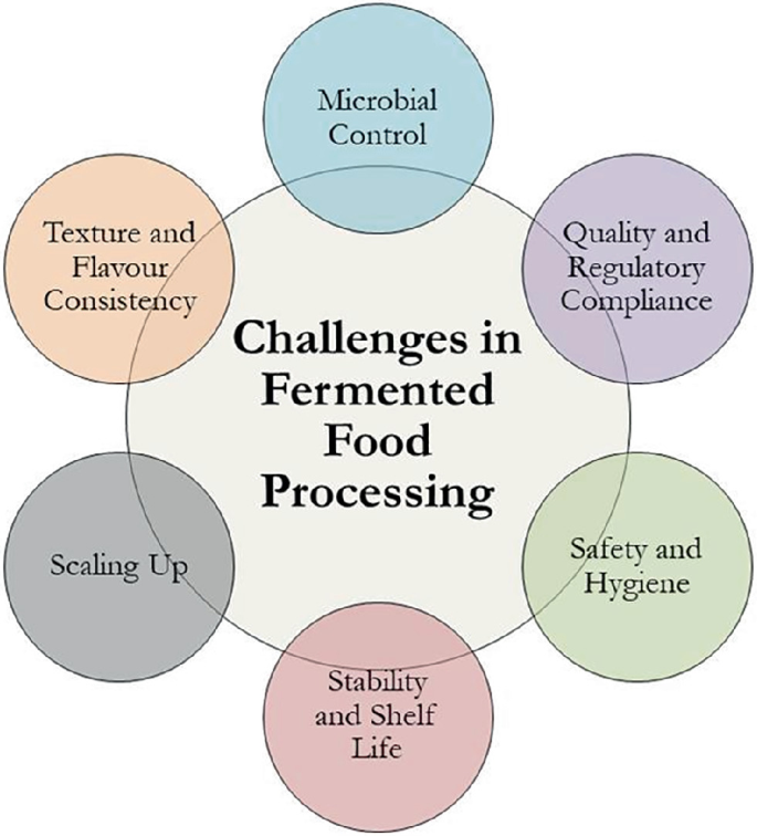 Exploring the Microbial Niche: Recent Advances in Fermentation for Food ...