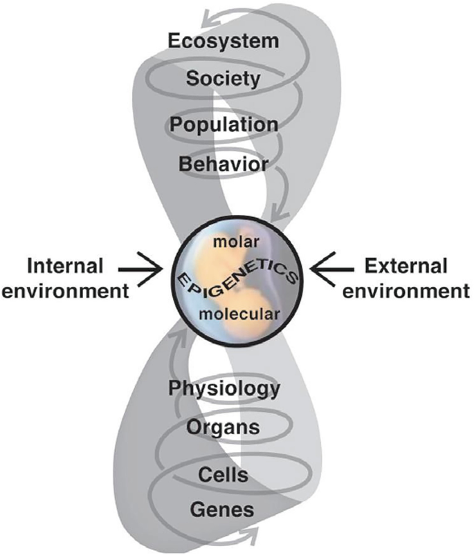 Reprogramming | SpringerLink