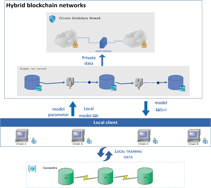 HyFed: A Hybrid Blockchain Empowered Federated Learning Privacy Fair Framework | SpringerLink