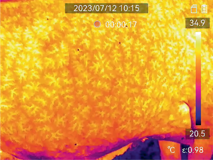 Supporting Thermal Imaging for Activity and Health Recognition by a ...
