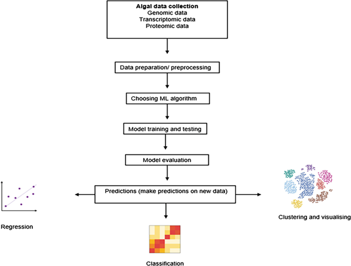 Understanding Algal Metabolism Through Integrated Systems Biology ...