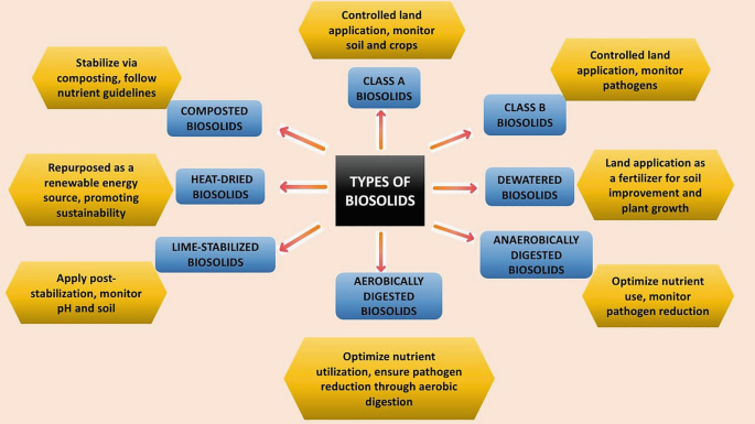 Recycling Biosolids into Agriculture: Prospects and Challenges ...