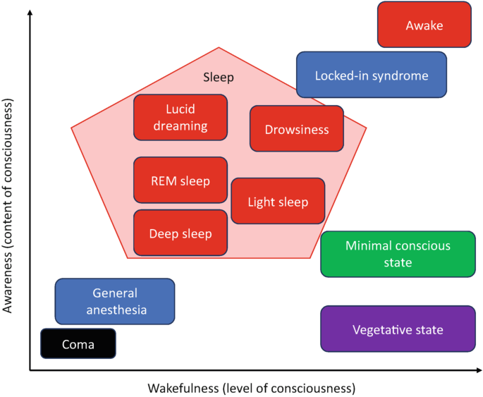 Consciousness, Circadian Rhythms, and Sleep | Springer Nature Link