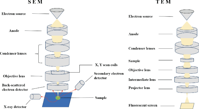 Insights to Visual and Analytical Techniques for Identification and ...
