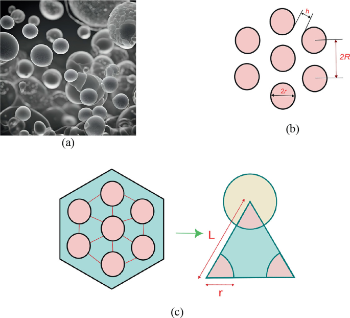 A Biostatistical and Analytical Model for the in vitro Monitoring of ...