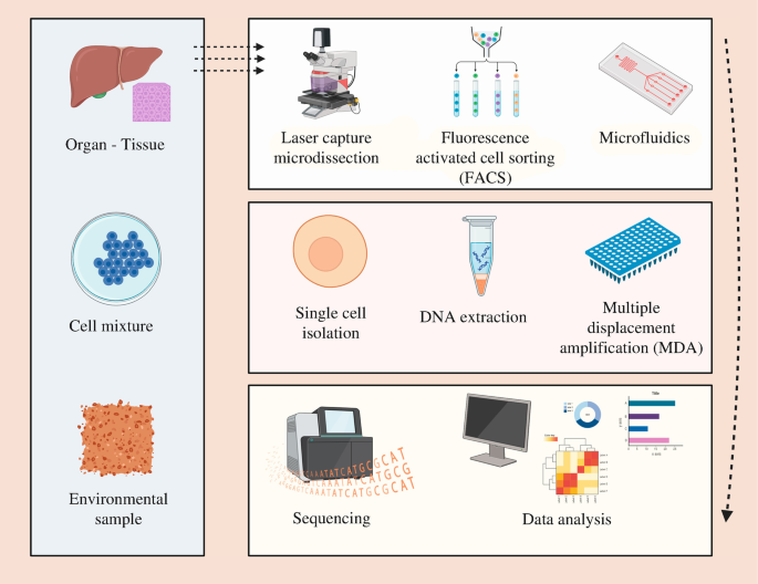 Single-Cell Genomics | Springer Nature Link