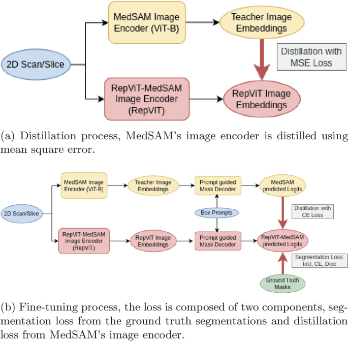 RepViT-MedSAM: Efficient Segment Anything in the Medical Images | SpringerLink