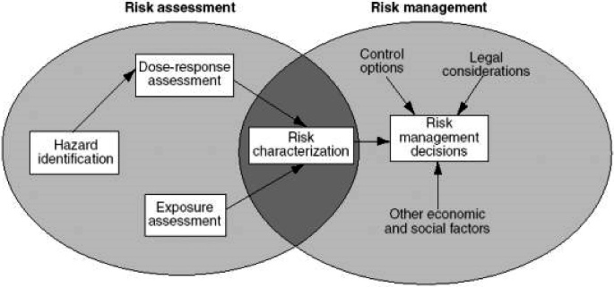 Risk Assessment and Health Impact Studies: Strategic Tools for Managing ...