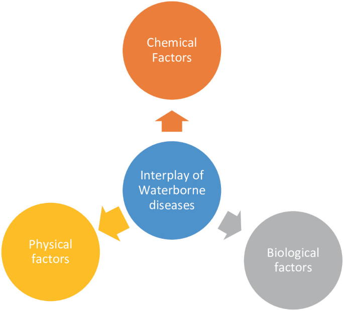 Water Quality Management: Processes Influencing Waterborne Diseases and ...