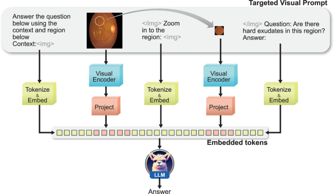 Targeted Visual Prompting for Medical Visual Question Answering ...