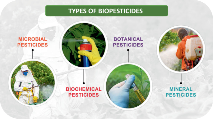 Microbial Production of Herbicides, Fungicides and Insecticides ...