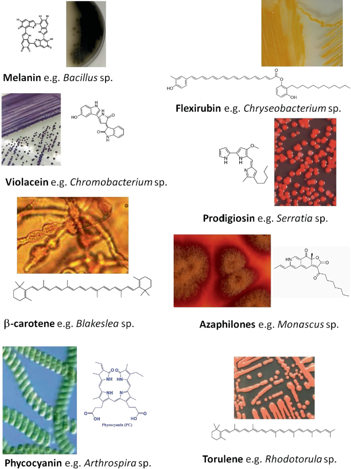 Microbial Pigments Production from Agro-Industrial Waste | SpringerLink