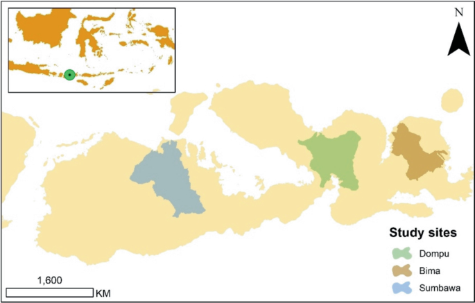 Geospatial Mapping of River Health Assessment: A Study Case of Spatial ...