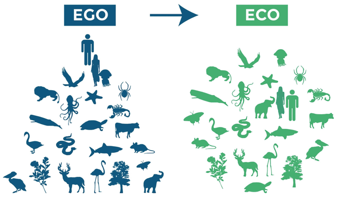 Western Awakening: A Journey to Environmental Awareness | SpringerLink