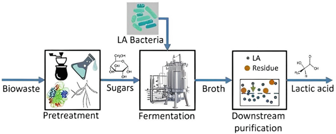 Fungal Waste Biomass as a Feedstock for Polylactic Acid (PLA ...