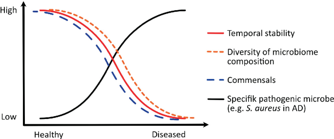 The Human Skin Microbiome | SpringerLink