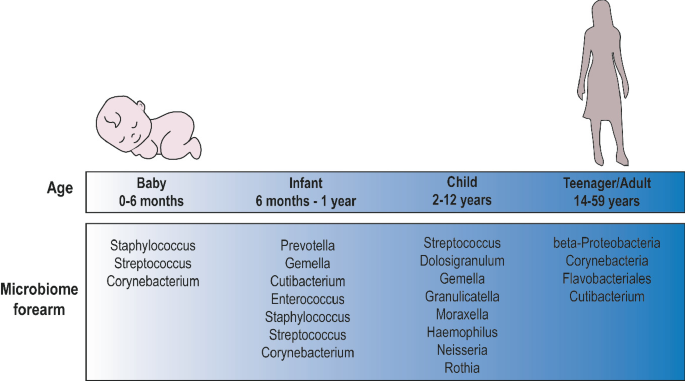 Microbiome in Patients with Atopic Dermatitis | SpringerLink