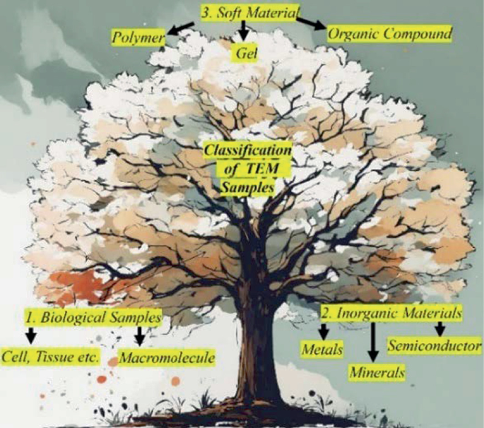 Fundamentals of TEM Sample Preparation | SpringerLink
