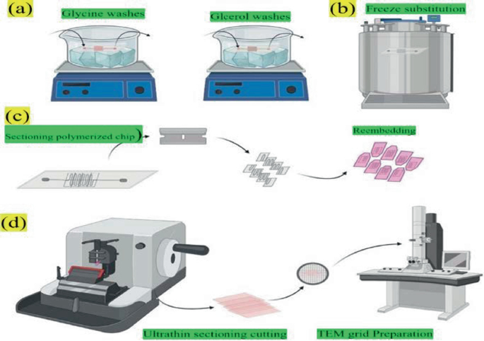 Fundamentals of TEM Sample Preparation | SpringerLink
