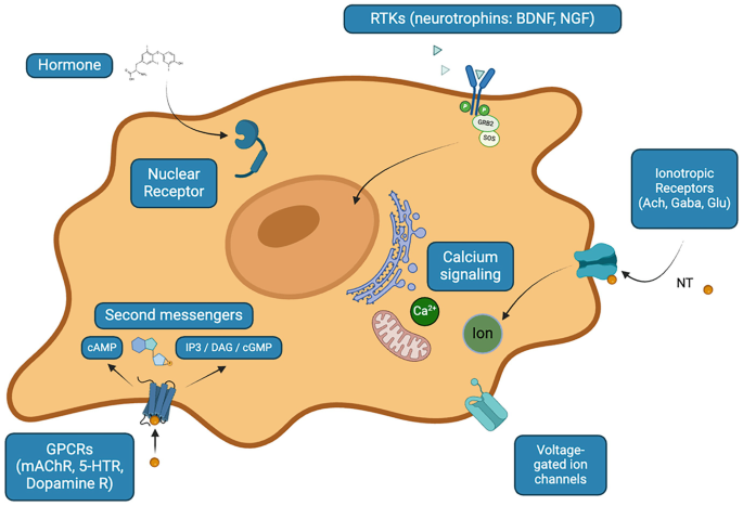 Communication Disruption in the Nervous System | Springer Nature Link