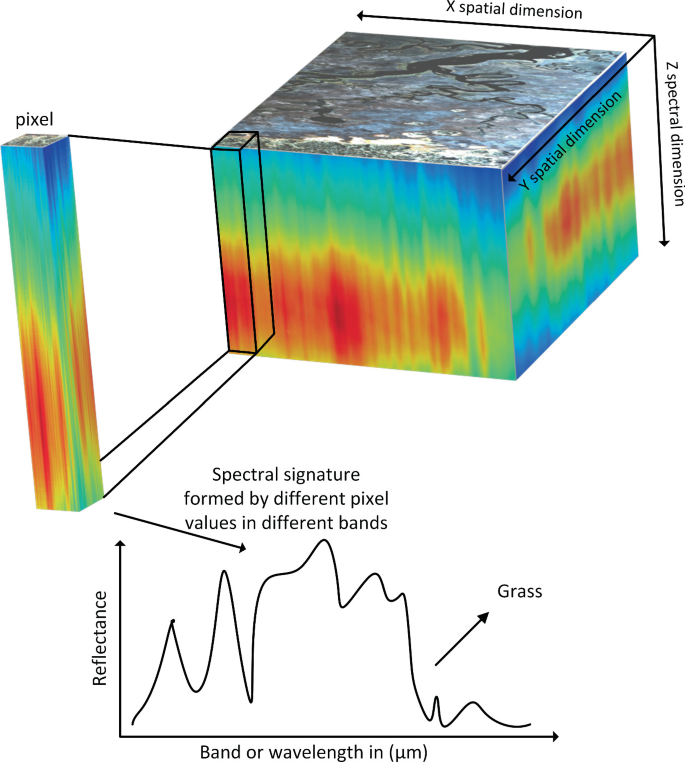 Hardware Accelerators for Hyperspectral Image Classification in Space ...