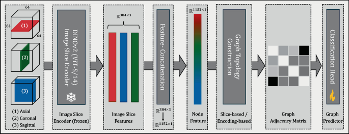 Graph Neural Networks: A Suitable Alternative to MLPs in Latent 3D ...