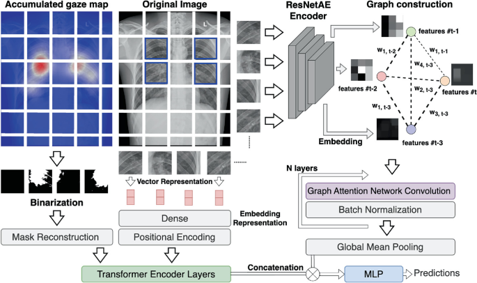 Prediction of Radiological Diagnostic Errors from Eye Tracking Data Using Graph Neural Networks ...