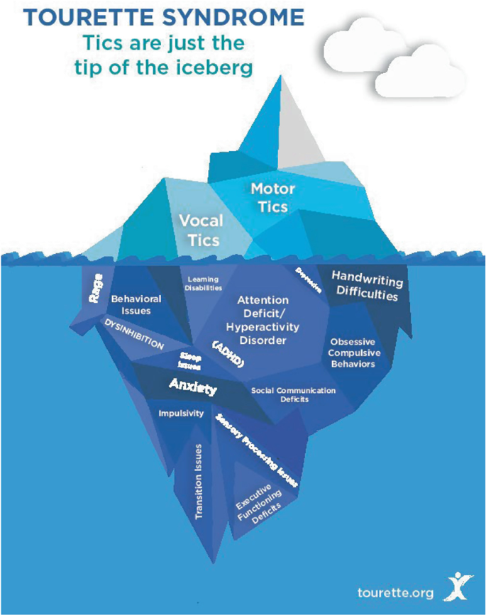 Tourette’s Syndrome: What We Know, What We Don’t Know, and What We ...