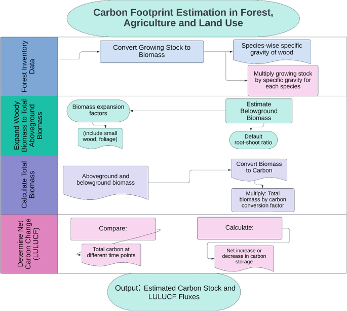Carbon Footprints of Indian Forest Degradation and Deforestation ...