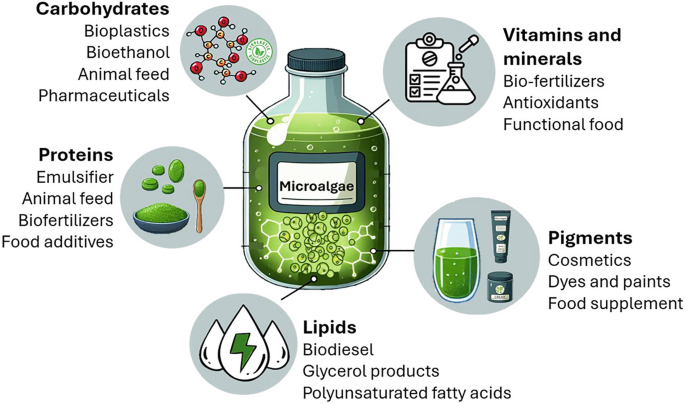 Configurations of Photobioreactors for Microalgae Cultivation in Third Generation of Biorefinery ...
