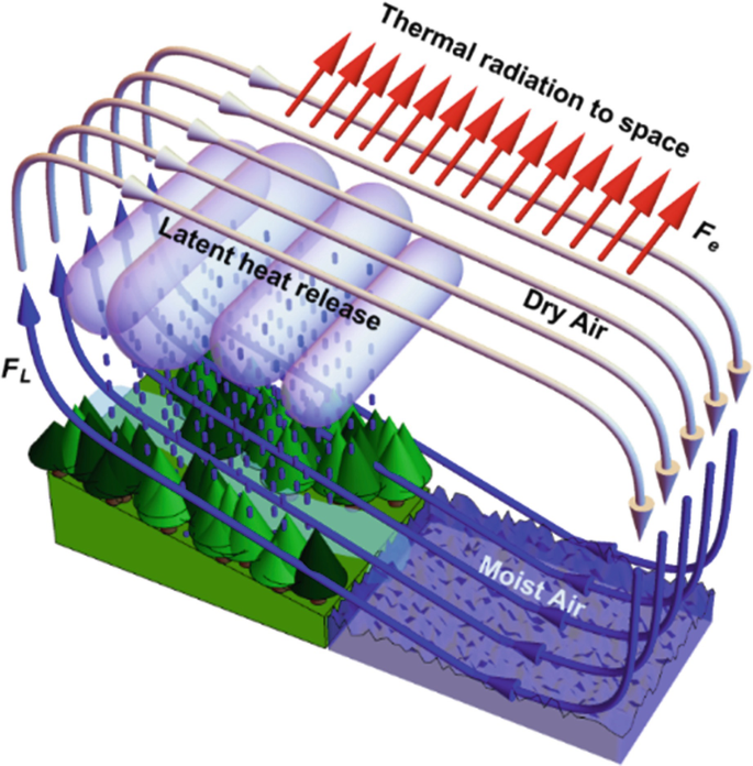 Restore Ecosystems to Cool the Climate | Springer Nature Link