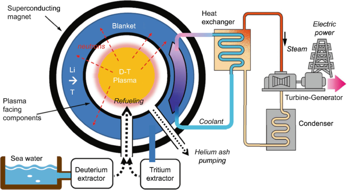 Fusion Reaction Diagram What Is Nuclear Fusion? The Science Explained