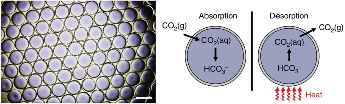 Chemical Absorption | SpringerLink