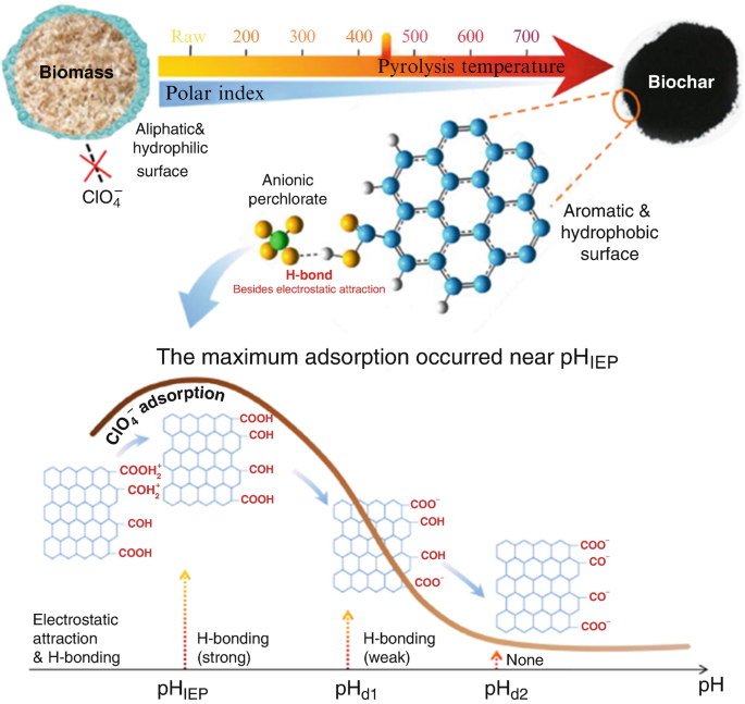 Biochar from Biomass: A Comprehensive Approach to CO2 Sequestration and ...