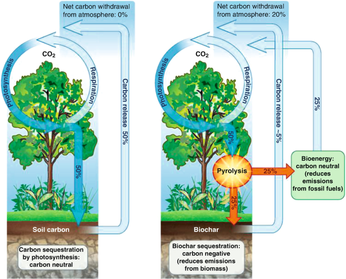 Biochar from Biomass: A Comprehensive Approach to CO2 Sequestration and ...