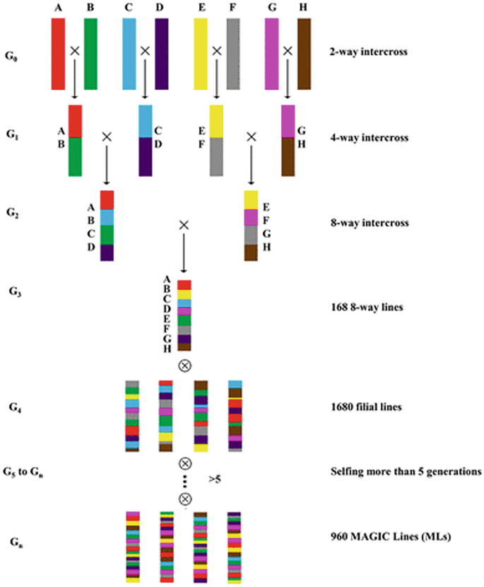 Genomics-Based Breeding | Springer Nature Link