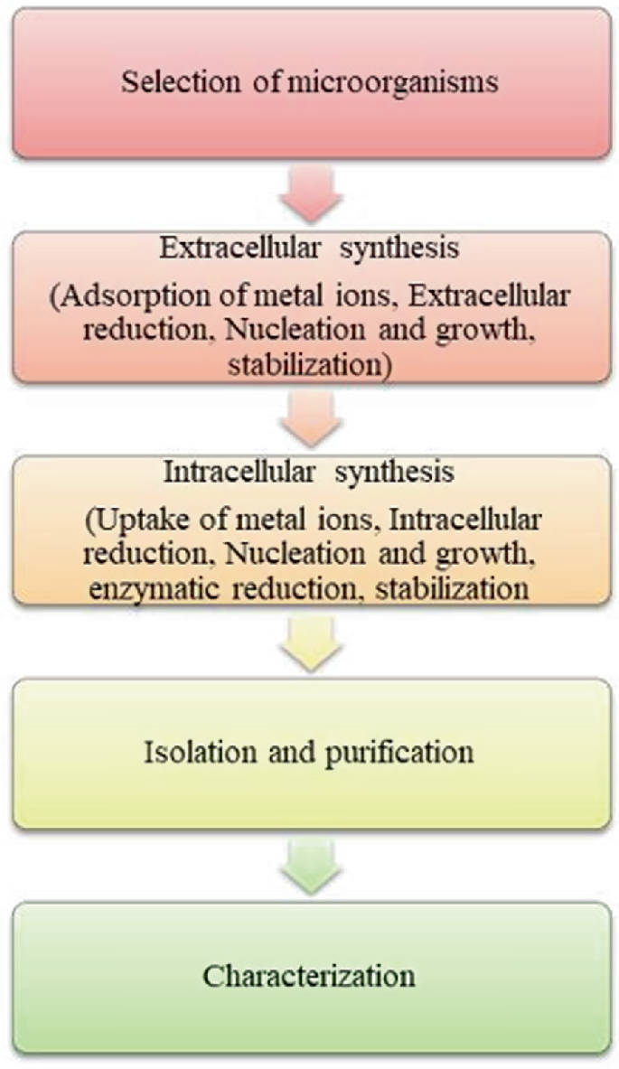 Microbial Routes for Nanoparticle Synthesis | SpringerLink