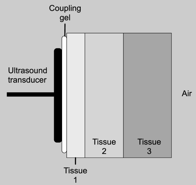 Reflection—Ultrasound | SpringerLink