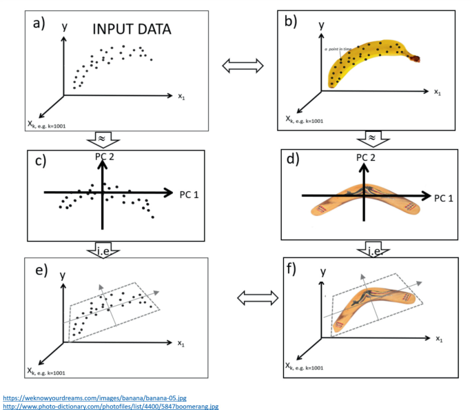 The Lure of Curvature | SpringerLink