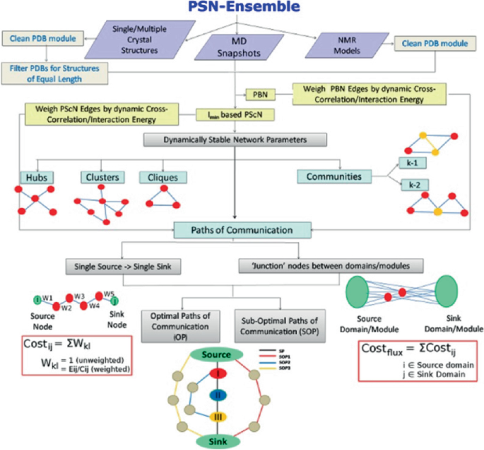 From Quantum Connectivity to Biological Networks: A Portrait of Protein ...